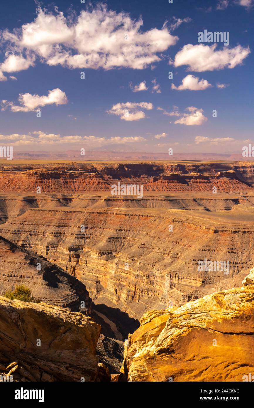 USA, Utah, Bear's Ears National Monument. Muley Point overlook of ...