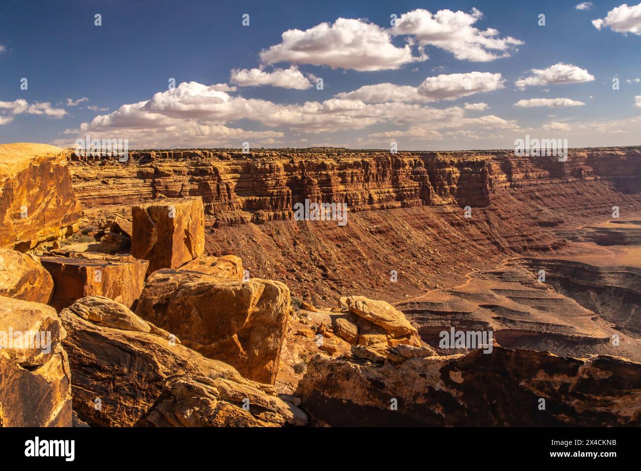 USA, Utah, Bear's Ears National Monument. Muley Point overlook of ...