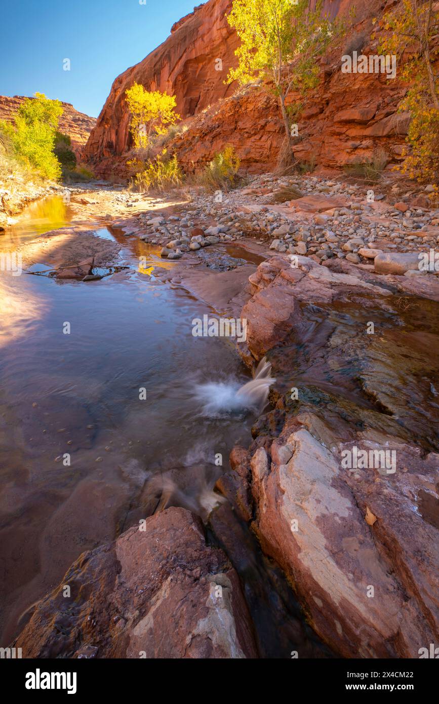USA, Utah, Glen Canyon National Recreation Area. Rocky cliff with pool ...