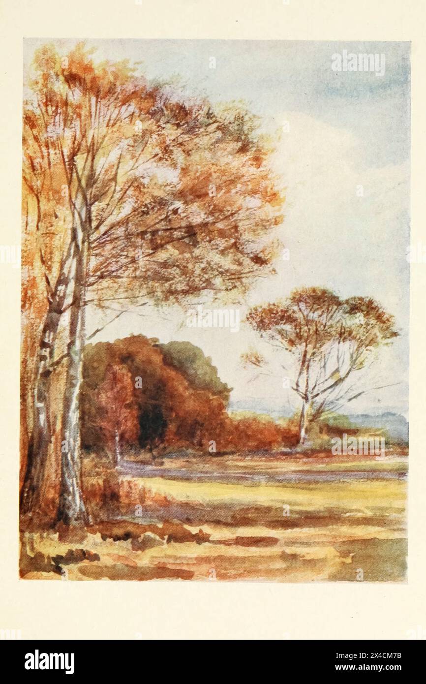 Below Park Hill, looking towards the Farm. October The New Forest by ...
