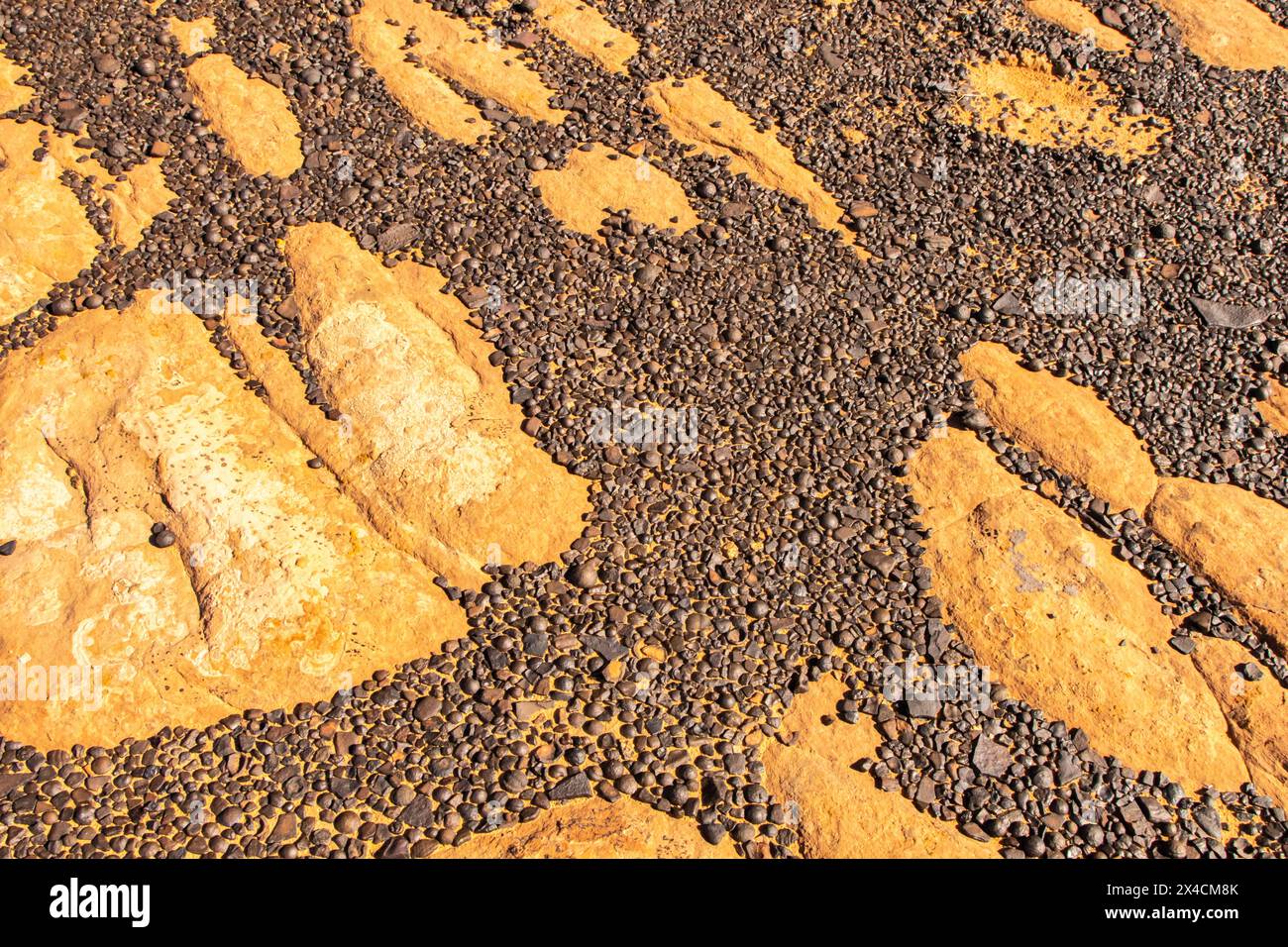 USA, Utah, Grand Staircase Escalante National Monument. Black Moqui ...
