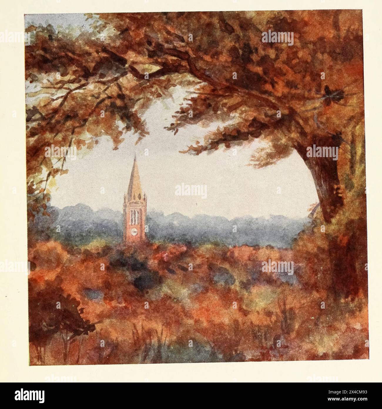 Lyndhurst Church from the Cut Walk. November The New Forest by Rawnsley ...