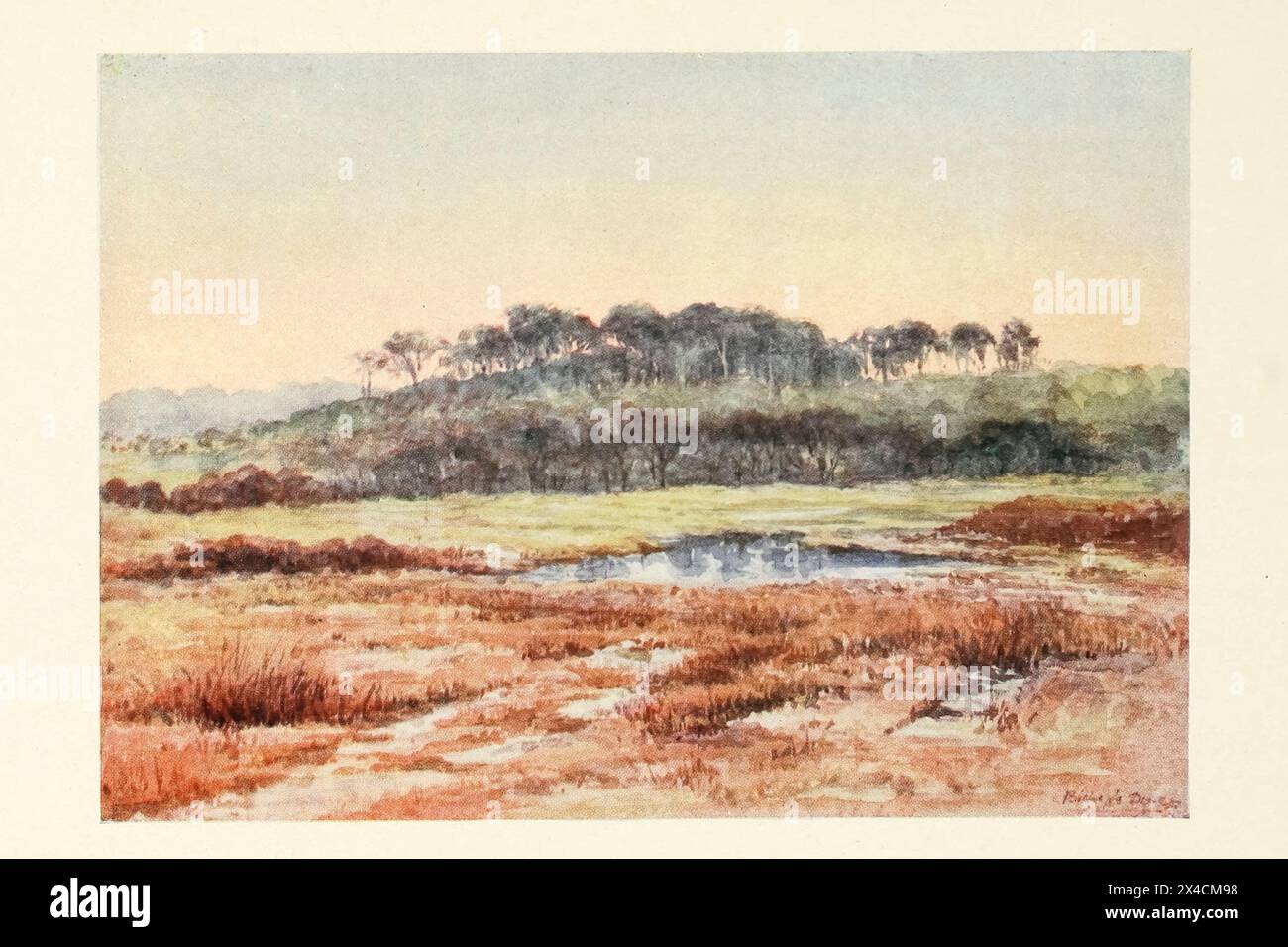 From Denny Wood, looking towards Wood Fidley. December Afternoon The ...