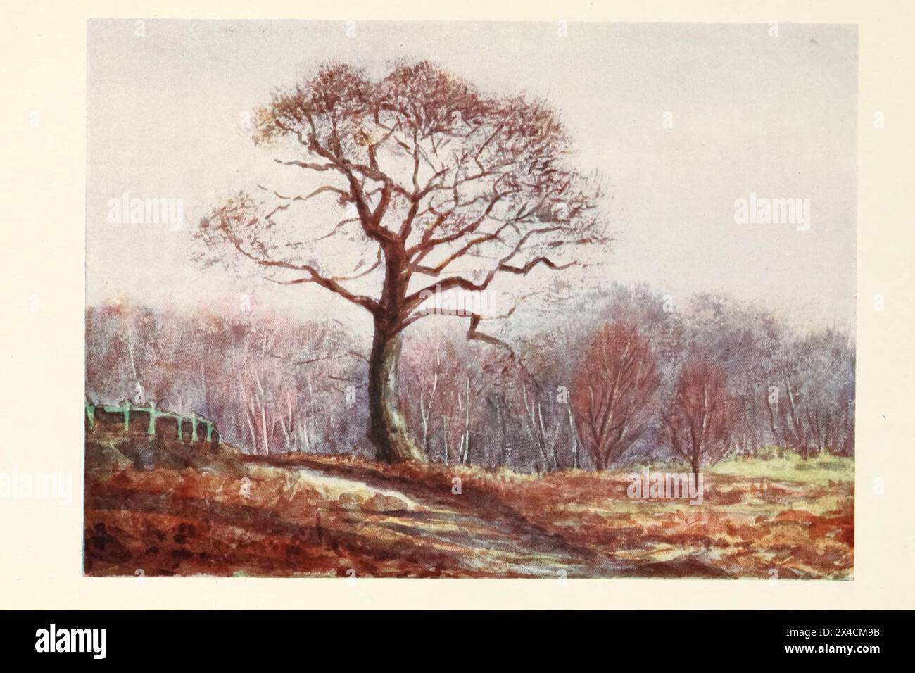 Looking down Butts Lawn. Christmas Eve The New Forest by Rawnsley ...