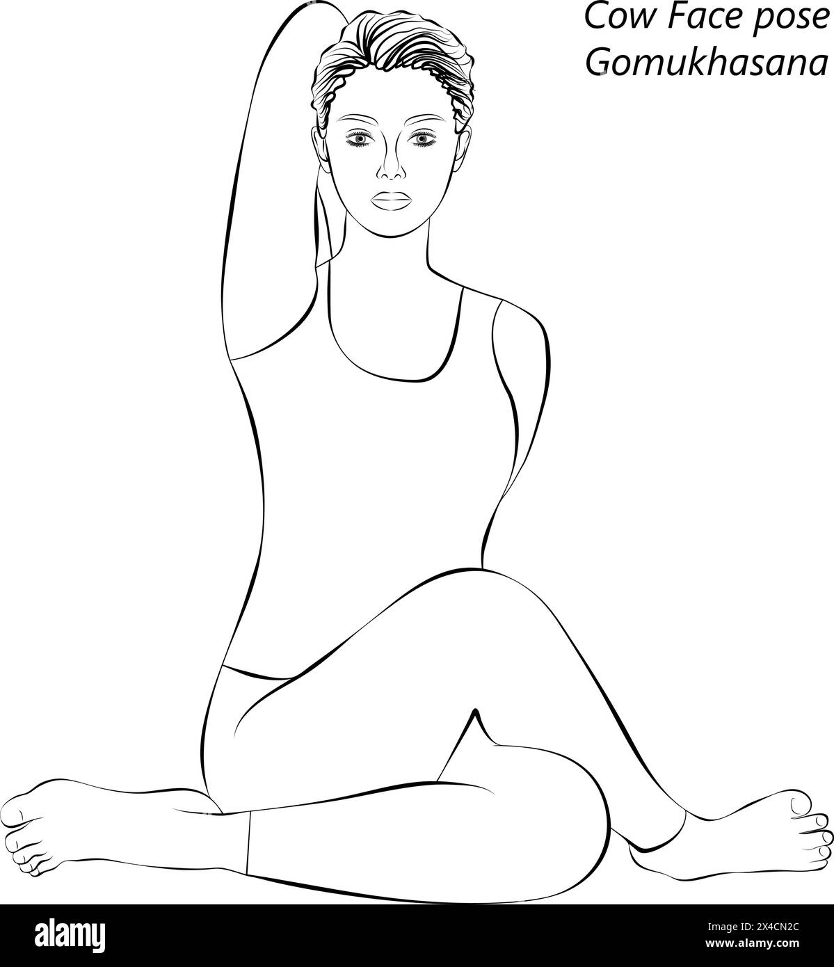 Sketch of young woman practicing Gomukhasana yoga pose. Cow Face pose ...