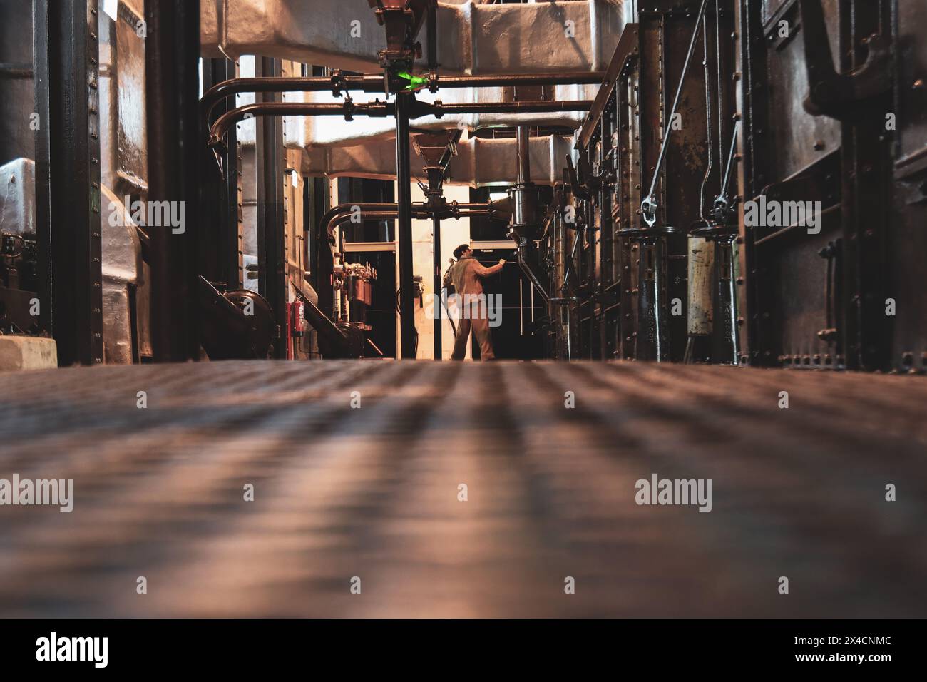 Focused worker ensuring efficient electrical production in factory ...