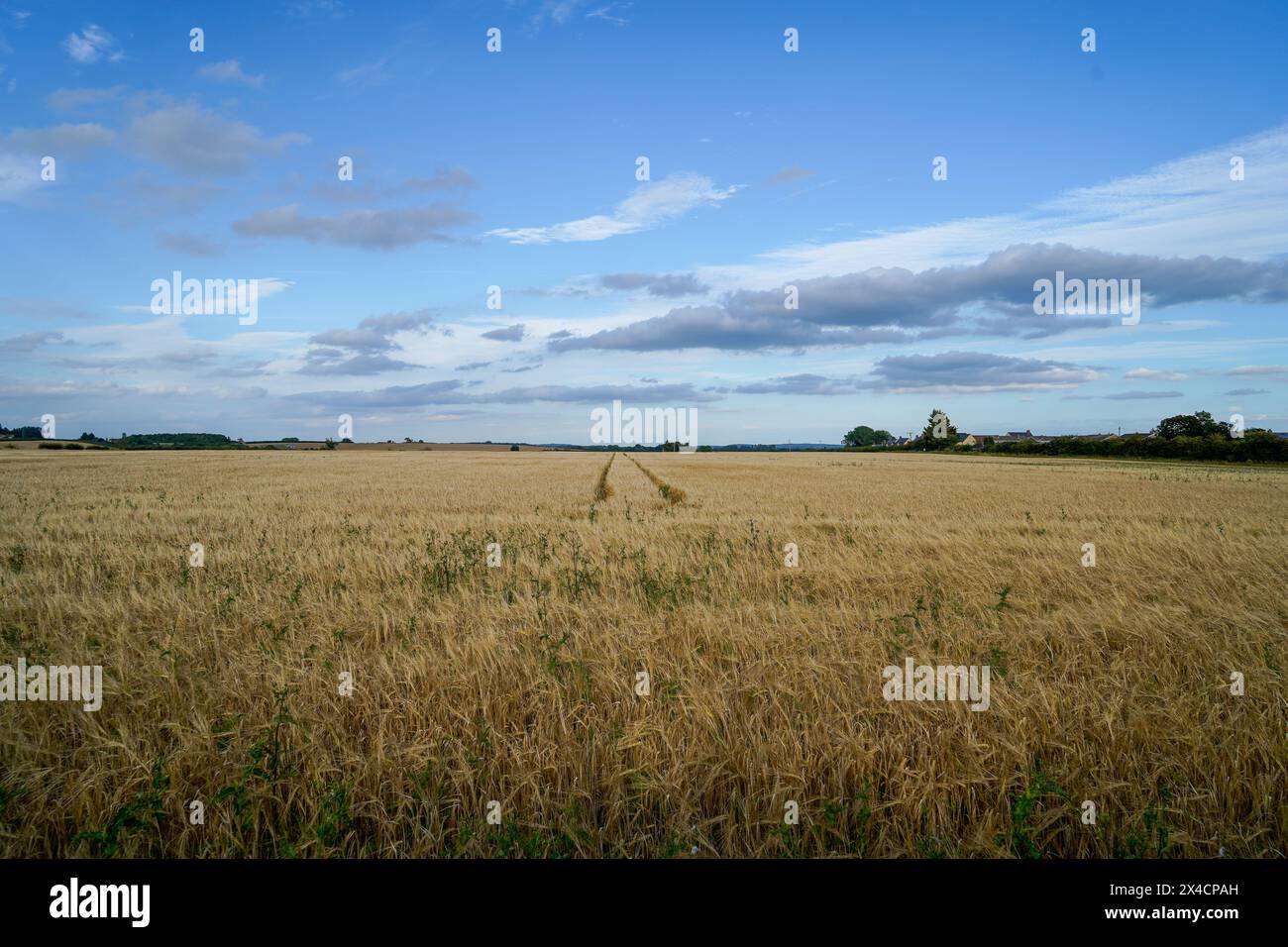 Field tram lines hi-res stock photography and images - Alamy