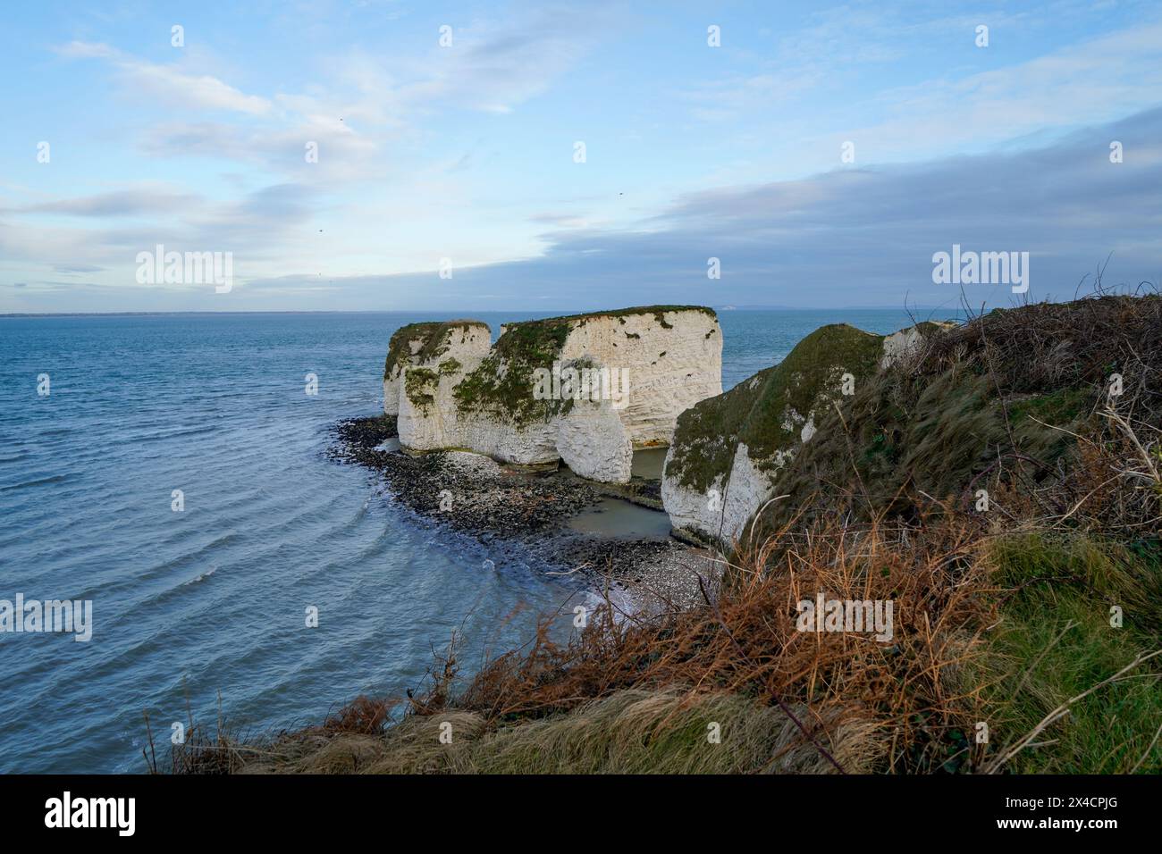 Old Harry rocks Stock Photo - Alamy