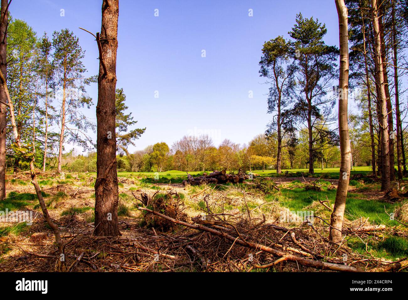 Dundee, Tayside, Scotland, UK. 2nd May, 2024. UK Weather: May brings ...