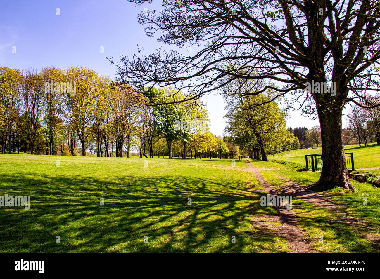 Dundee, Tayside, Scotland, UK. 2nd May, 2024. UK Weather: May brings ...
