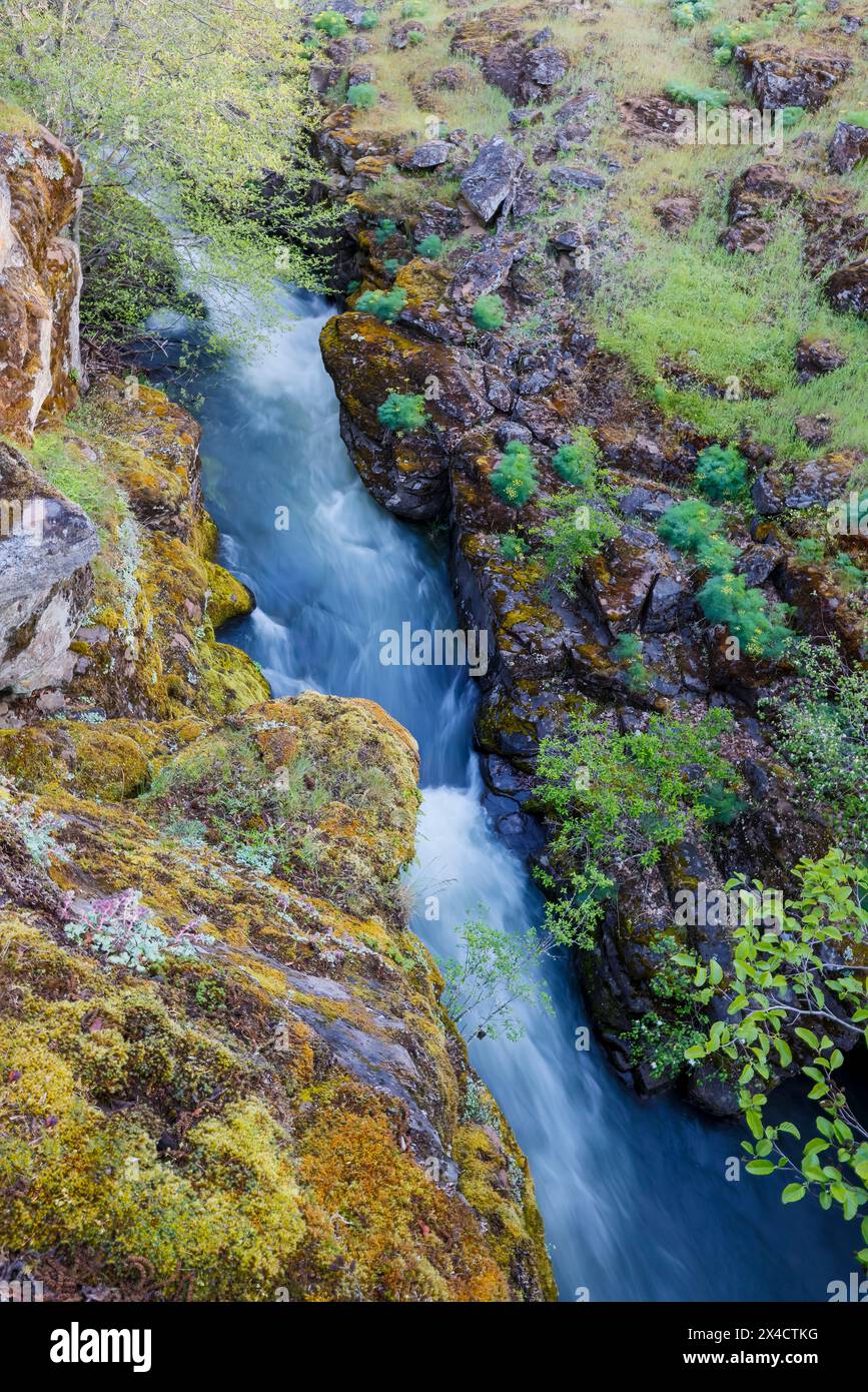 USA, Washington State, Lyle. Major Creek flowing through narrow canyon ...