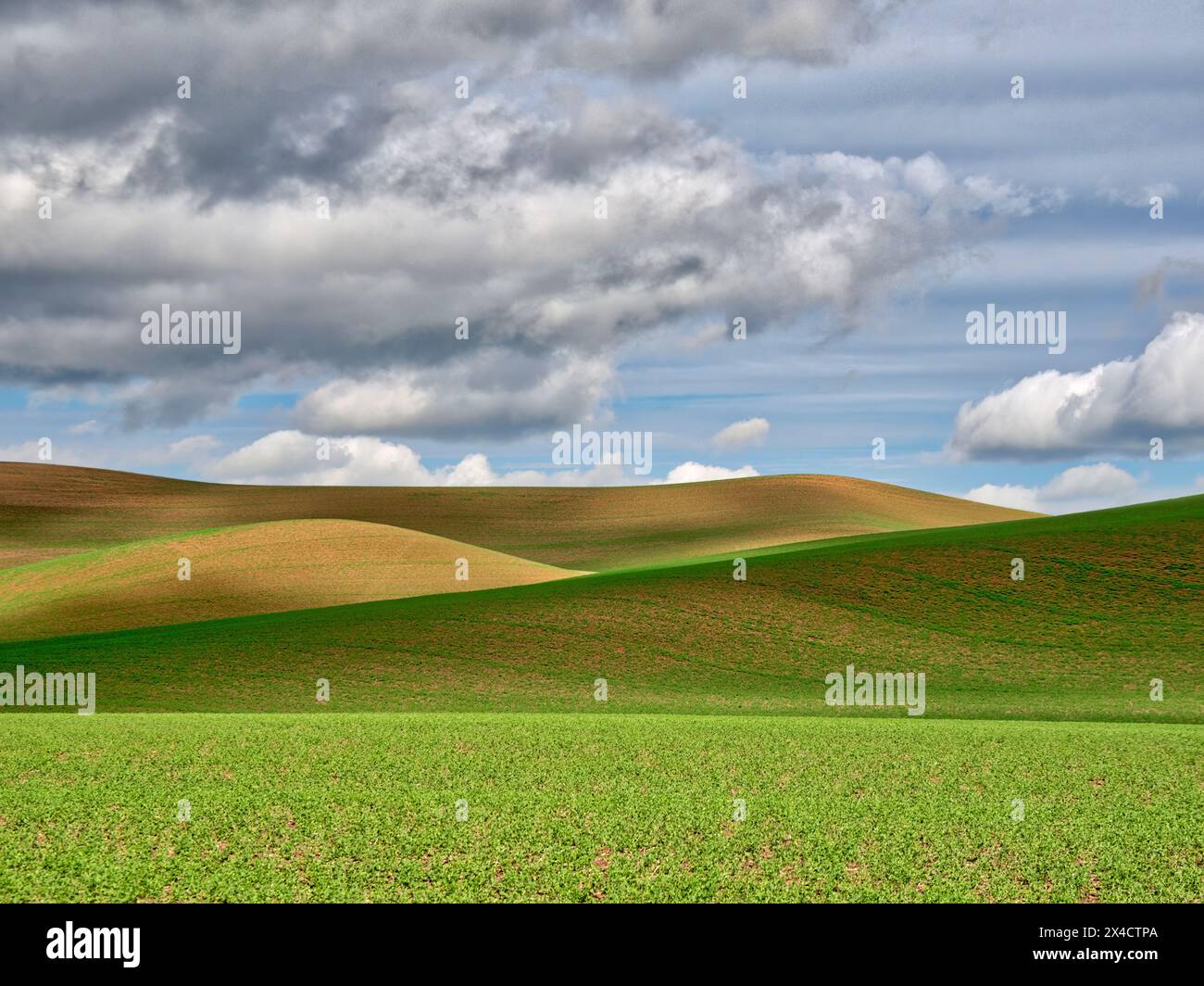 USA, Washington State, Palouse. Rolling hills of crops with clouds and ...