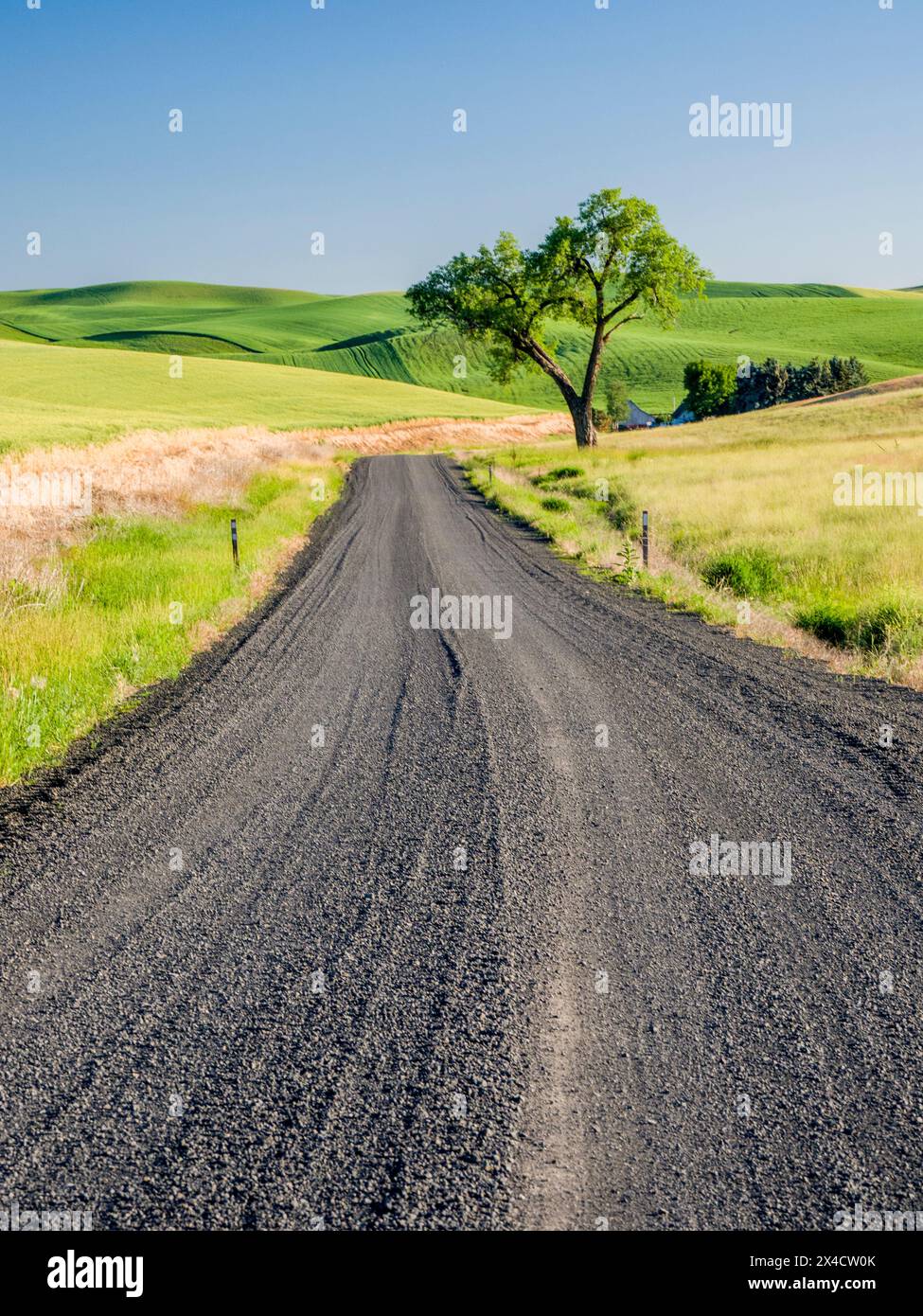 Palouse country hi-res stock photography and images - Alamy