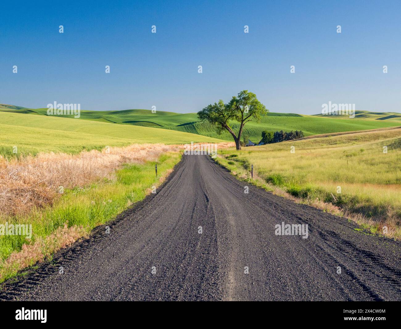 Palouse country hi-res stock photography and images - Alamy