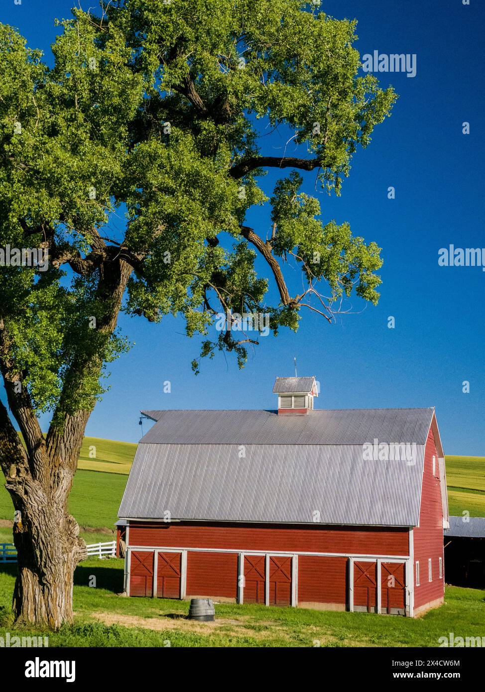 USA, Washington State, Palouse. Red barn, shed and tree on a country ...