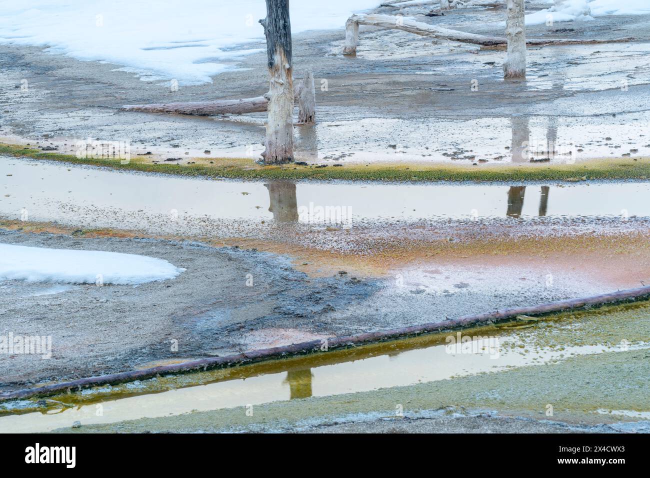 USA, Wyoming, Yellowstone National Park, Black Sand Basin. The thermal ...