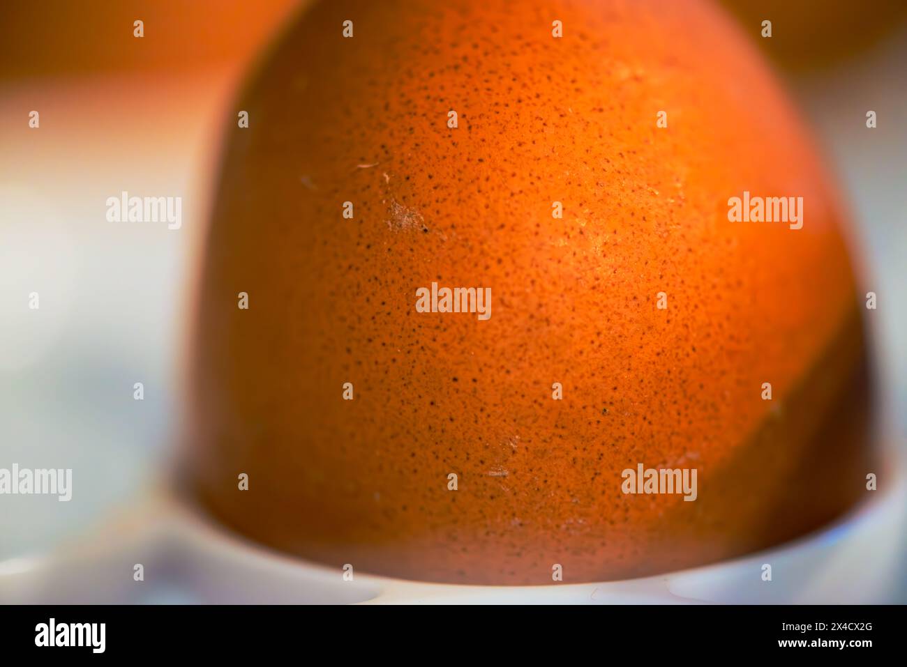 A captivating close-up reveals the intricate details and textures of ...