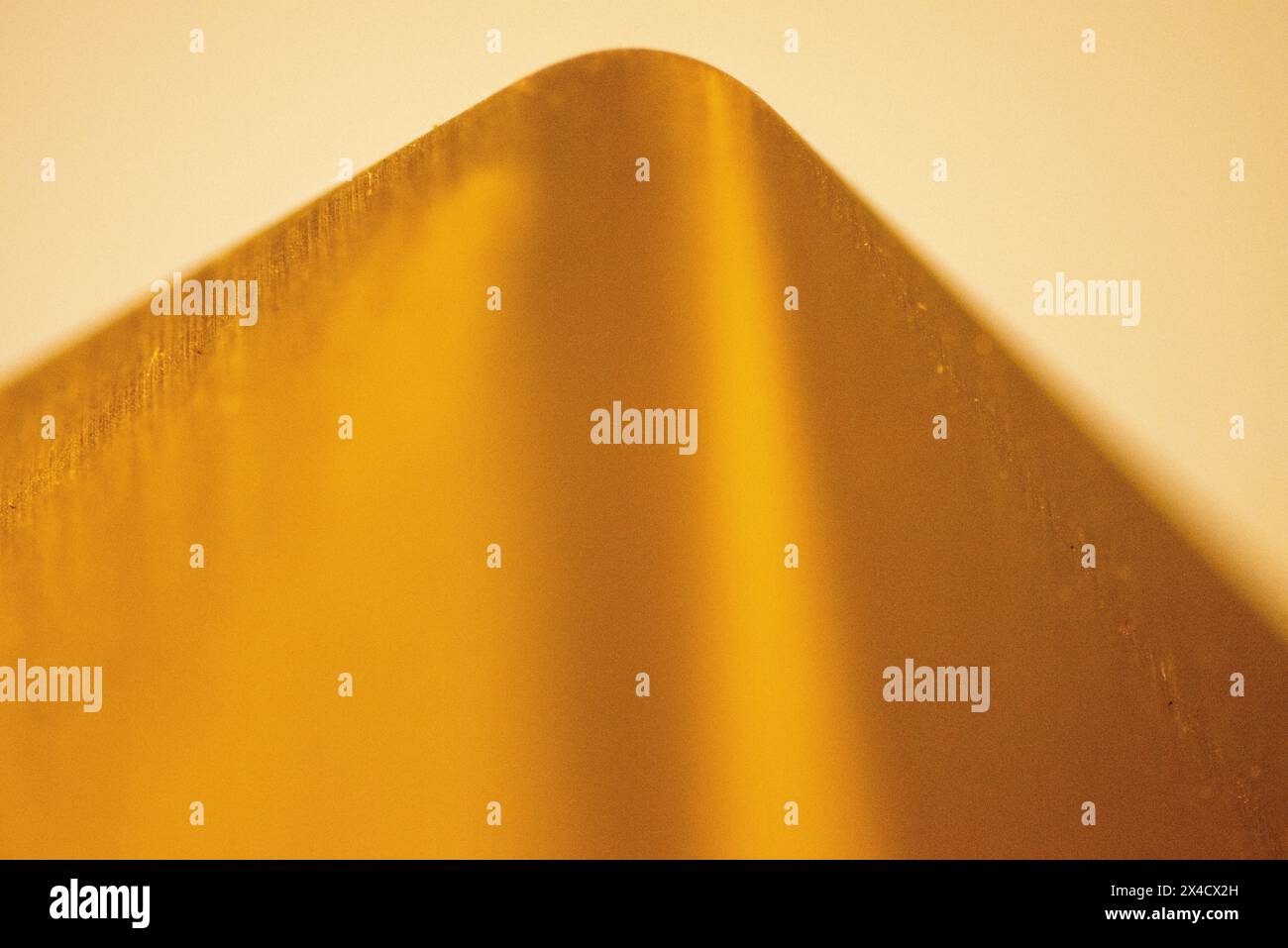 A stunning macro photo reveals the intricate details and textures of a ...