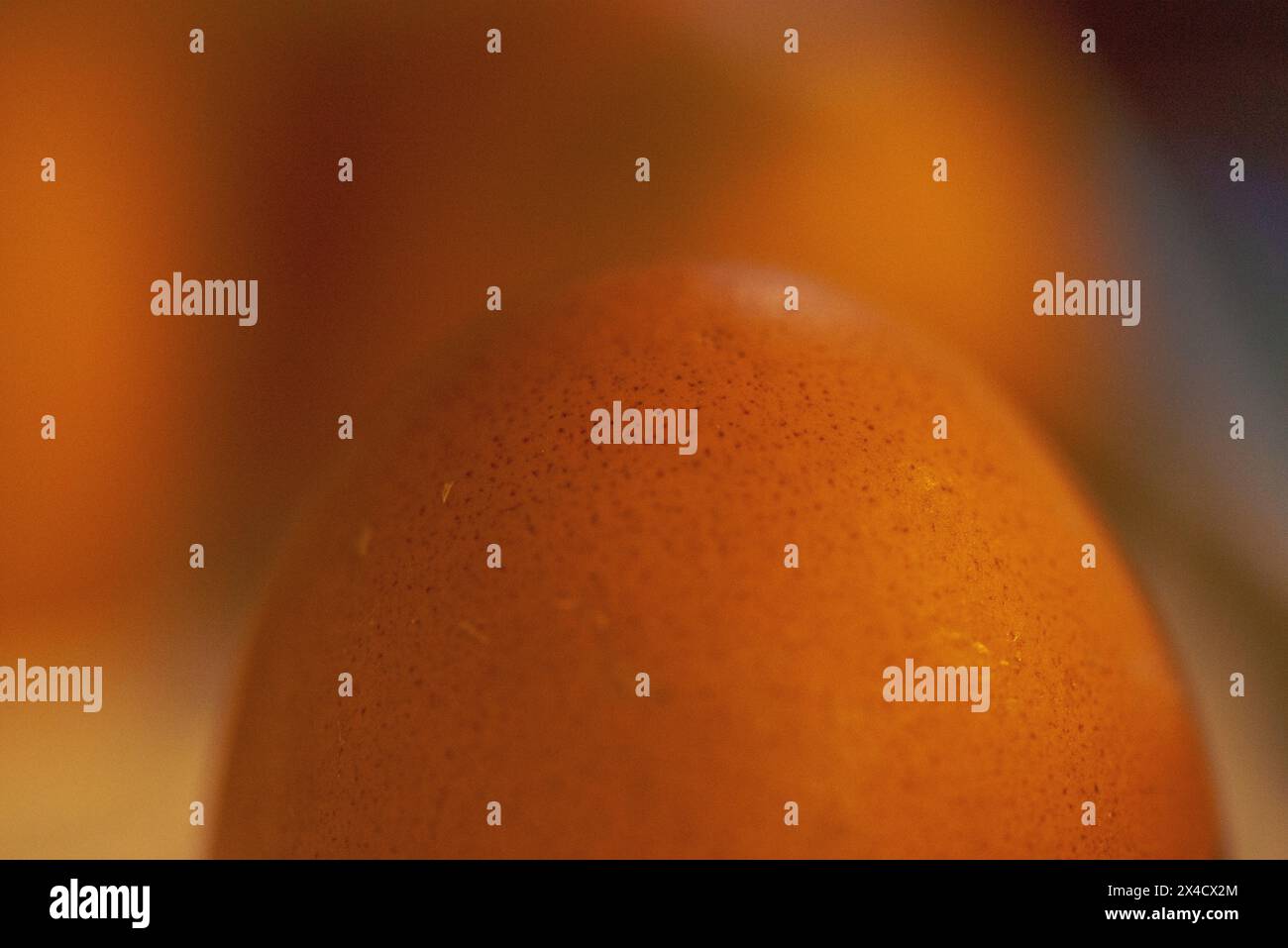 A captivating close-up reveals the intricate details and textures of ...