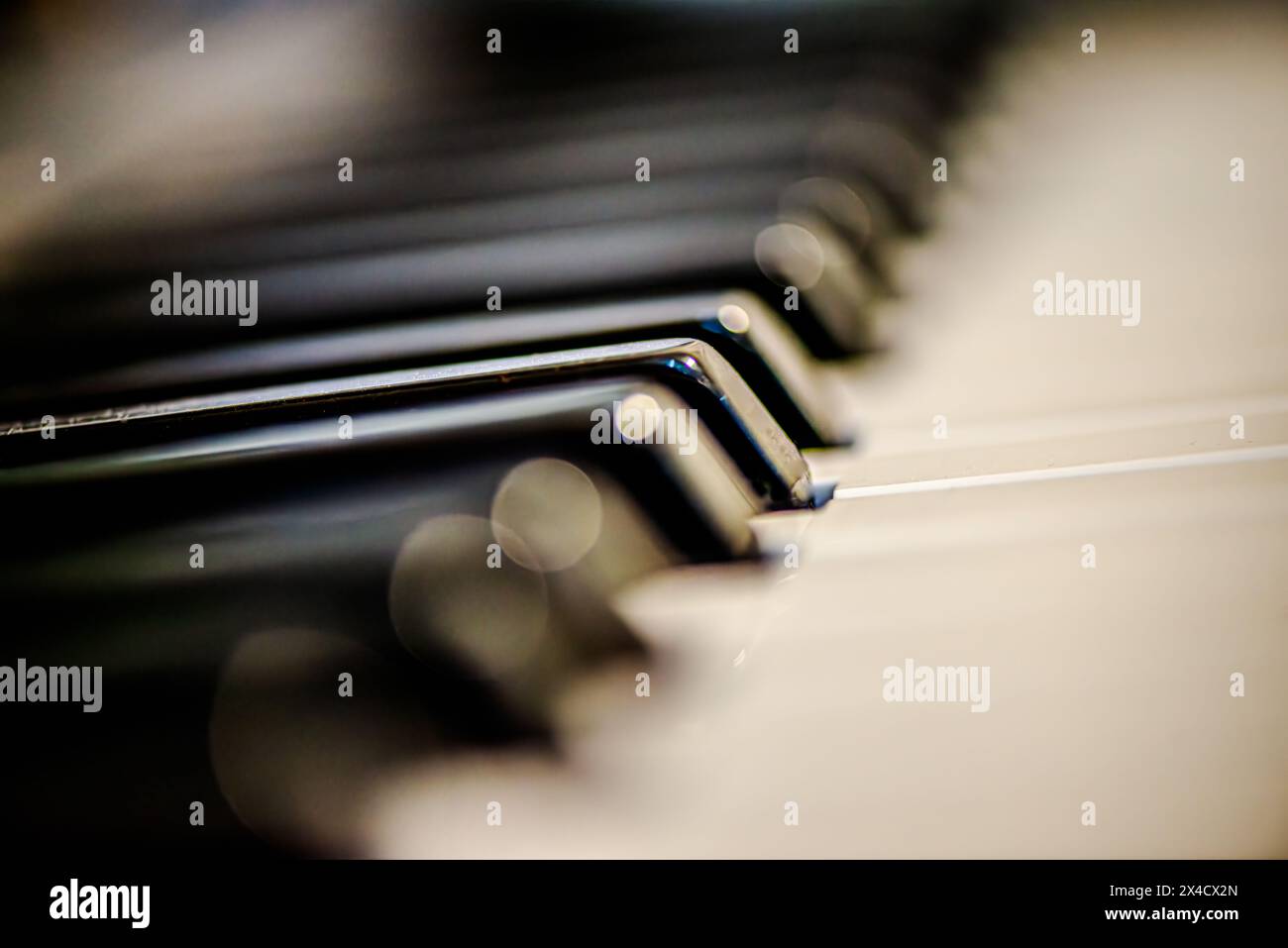 A mesmerizing macro photo captures the intricate details and contrast ...