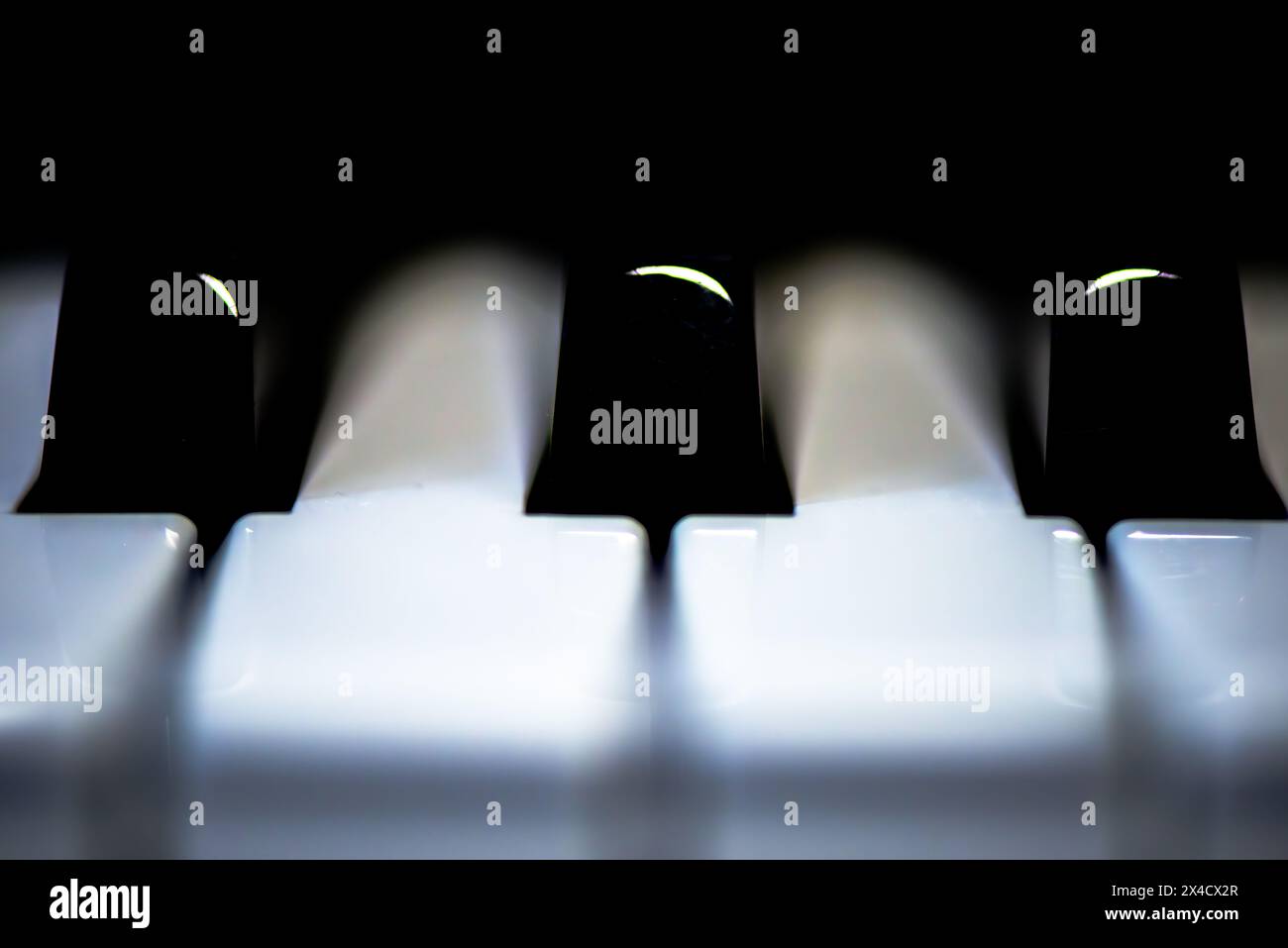 A mesmerizing macro photo captures the intricate details and contrast ...