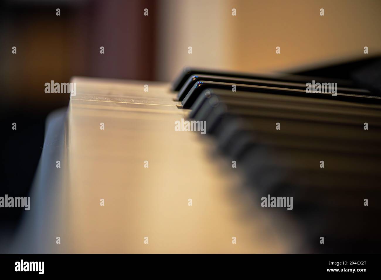 A mesmerizing macro photo captures the intricate details and contrast ...