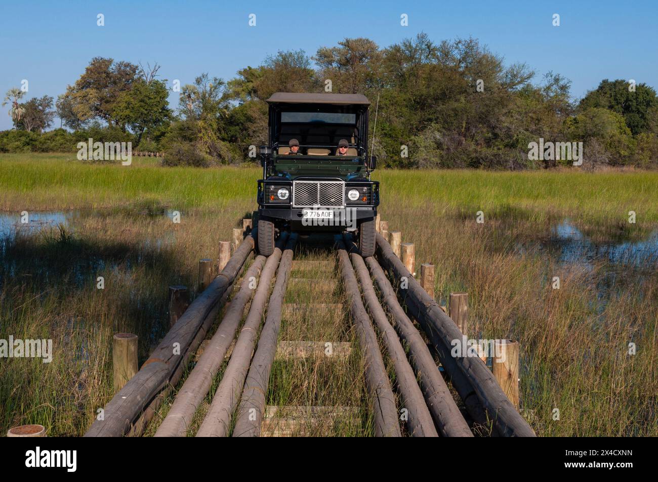 A safari vehicle crossing a log bridge at Abu Camp, Okavango Delta ...