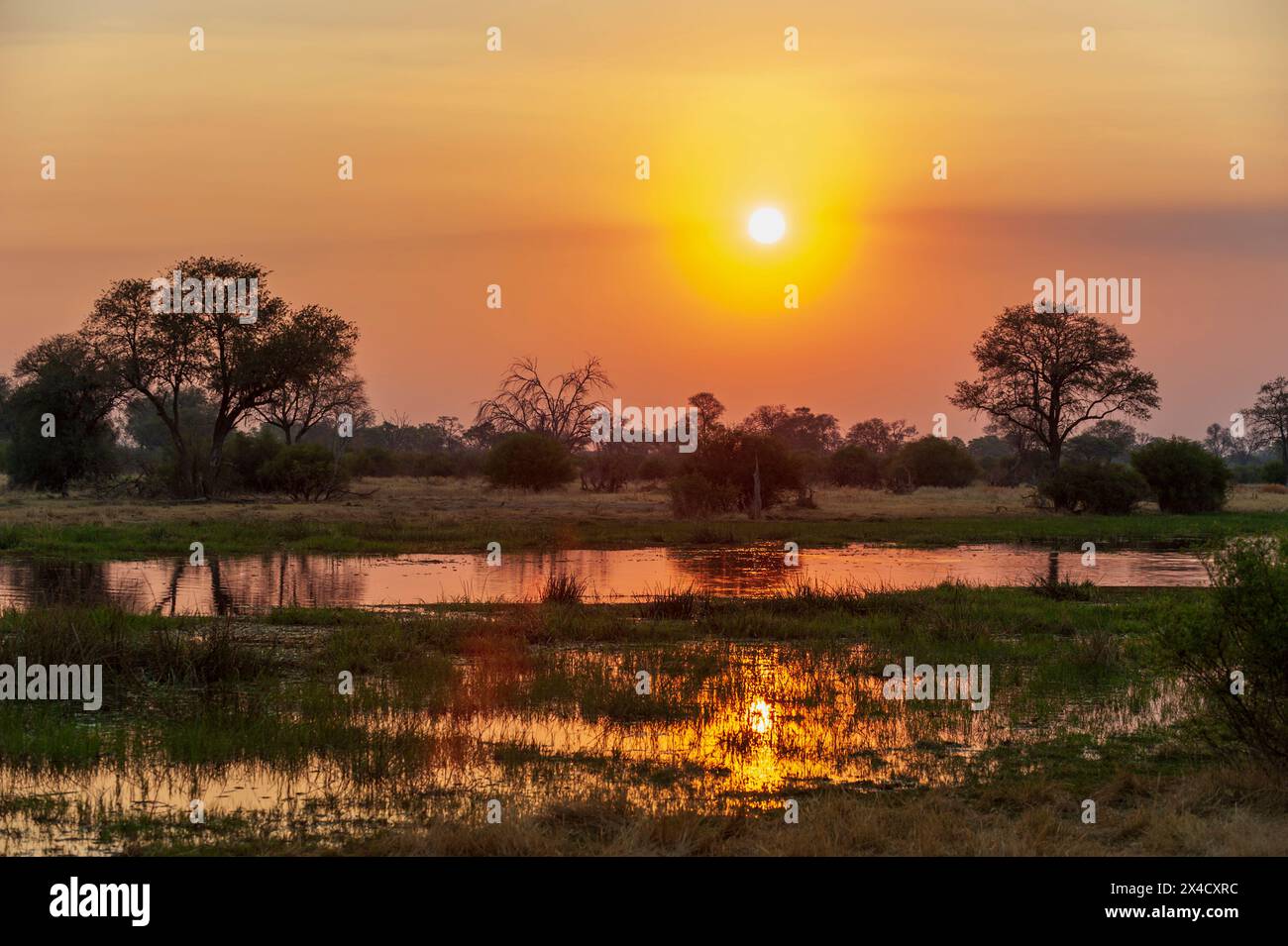 A scenic sunset over river Khwai River. Khwai River, Okavango Delta, Botswana Stock Photo - Alamy