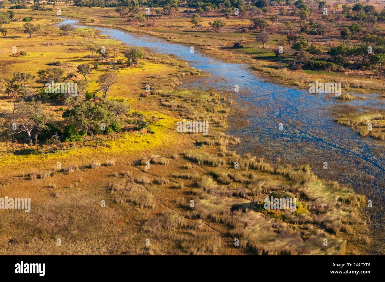 An aerial view of the Okavango Delta, Botswana Stock Photo - Alamy