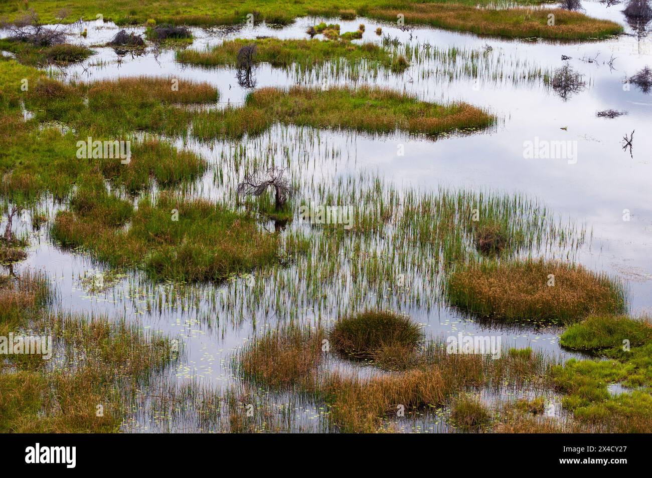 An aerial view of Okavango Delta floodplains, Botswana Stock Photo - Alamy