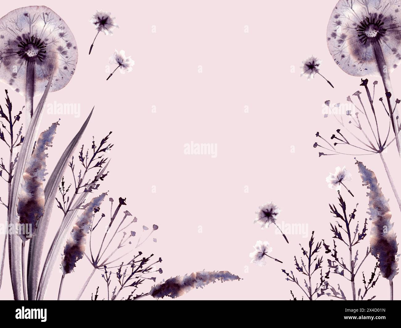 Abstract Dandelion Plants Horizontal