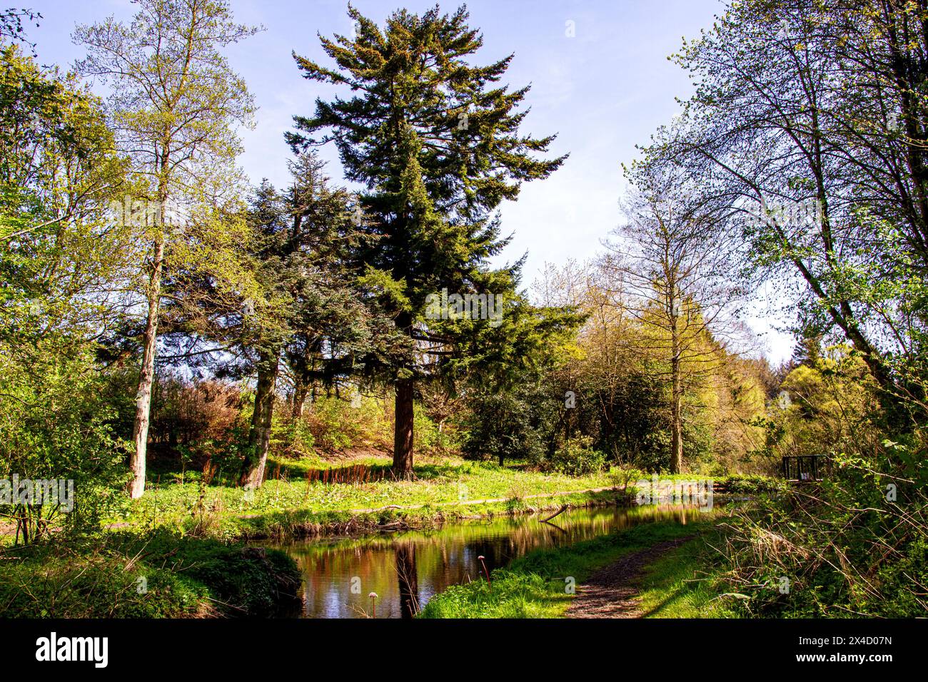 May weather brings beautiful blue sky and warm spring sunshine to Caird ...