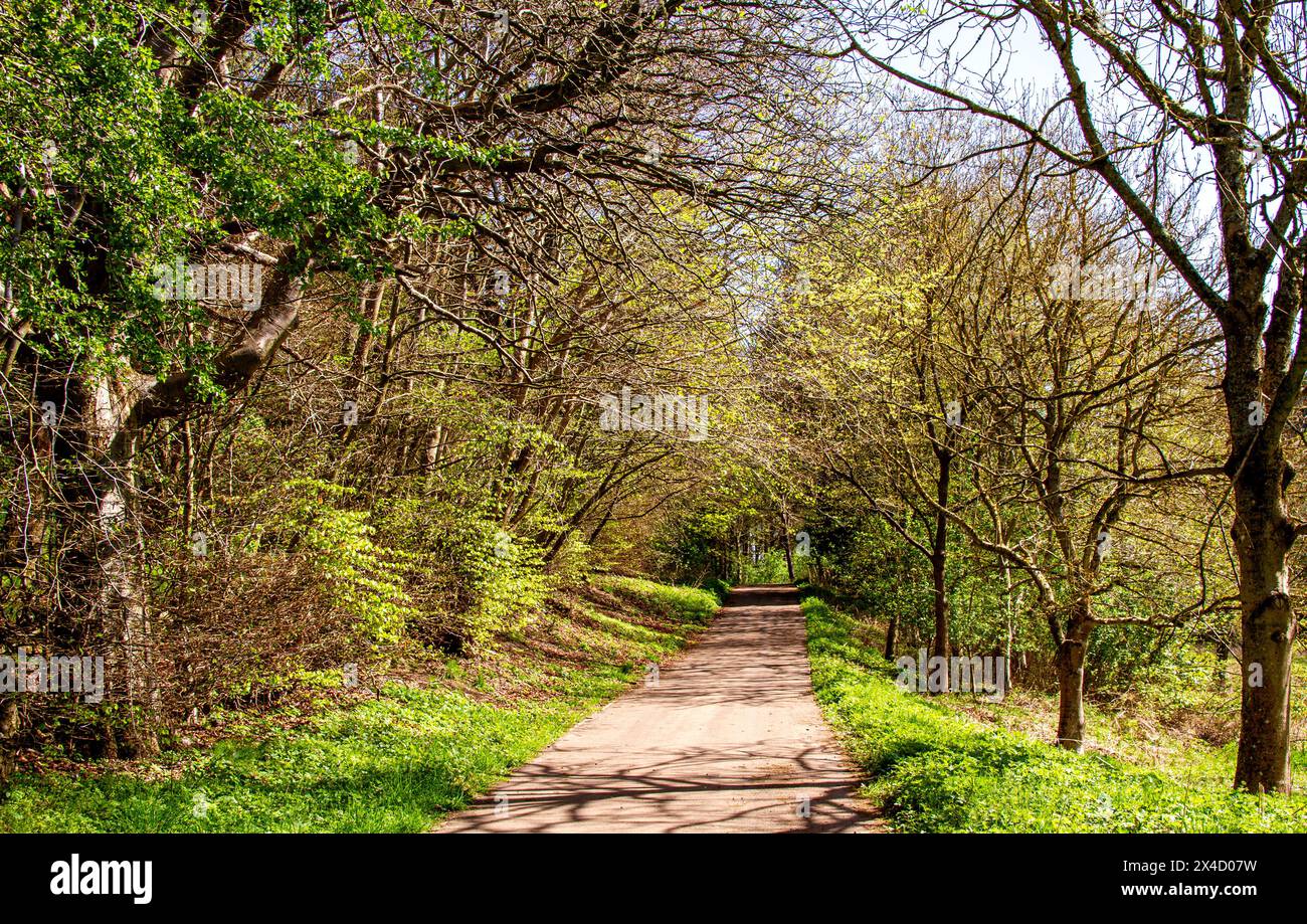 May weather brings beautiful blue sky and warm spring sunshine to Caird ...