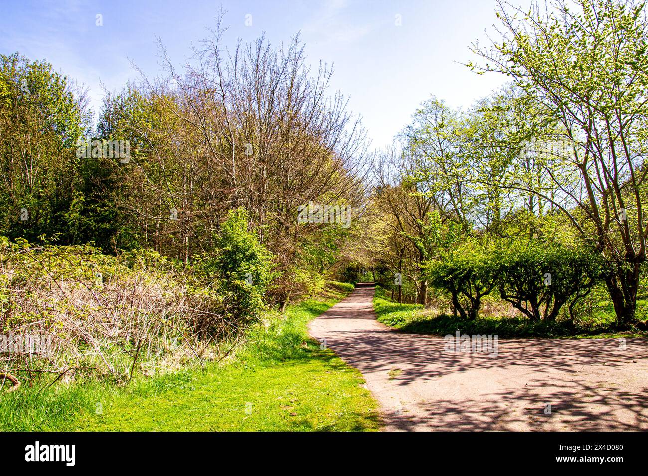 May weather brings beautiful blue sky and warm spring sunshine to Caird ...
