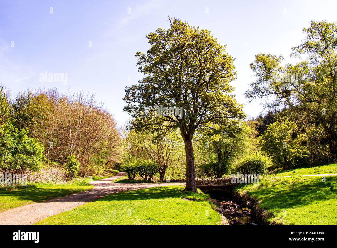 May weather brings beautiful blue sky and warm spring sunshine to Caird ...