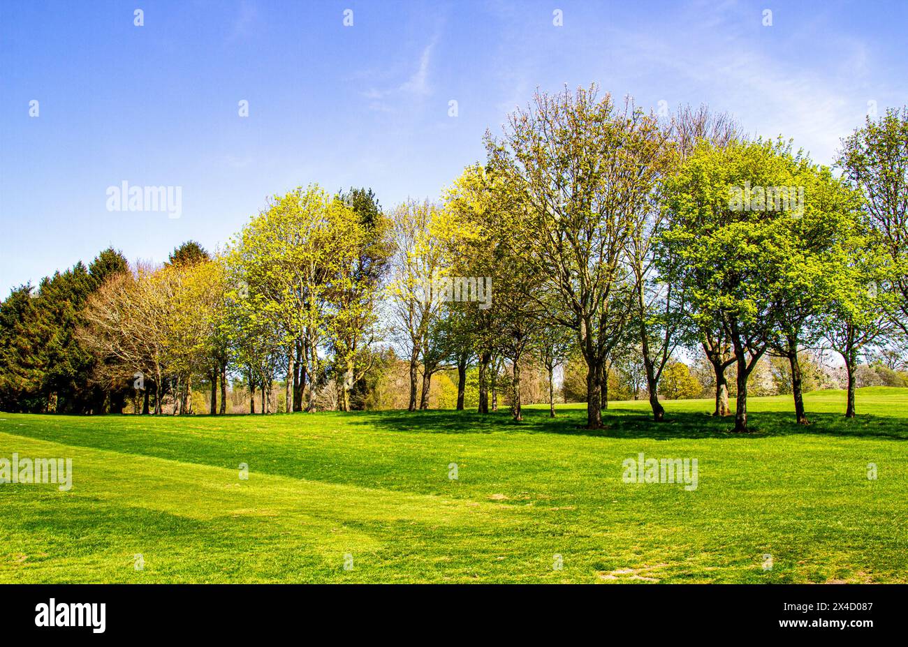May weather brings beautiful blue sky and warm spring sunshine to Caird ...