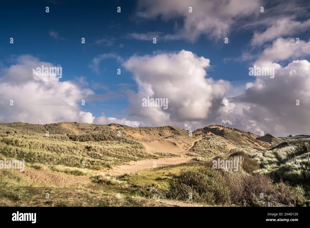 The massive Sand dune system at Holywell Beach in Newquay in Cornwall ...