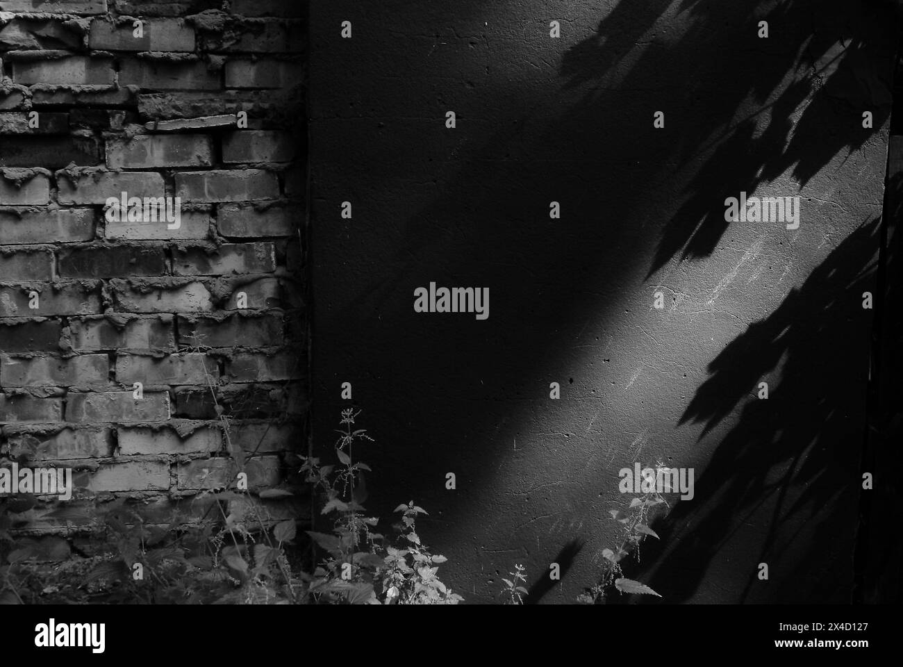 Light and shadow with contrasting textures on a riverbank footpath on ...