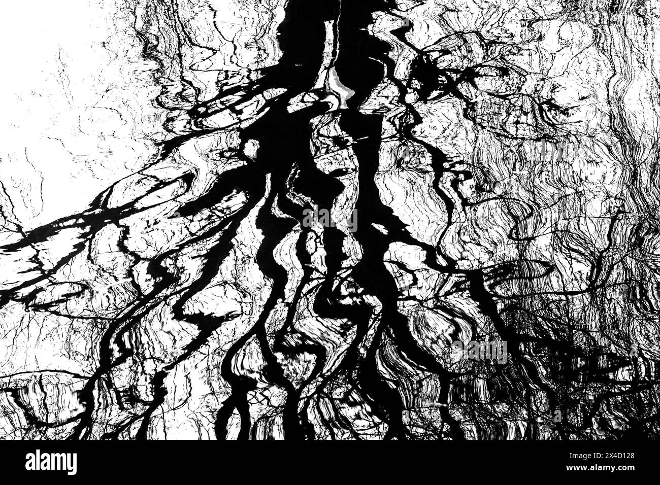 The abstract disorted reflection of a tree in water Stock Photo - Alamy