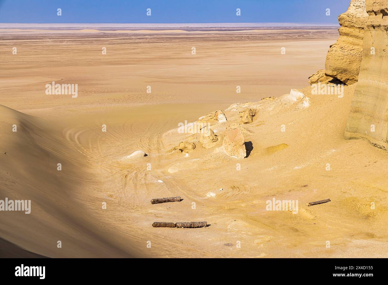 Wadi al Hitan, Faiyum, Egypt. Dead palm tree trunks in the desert at ...
