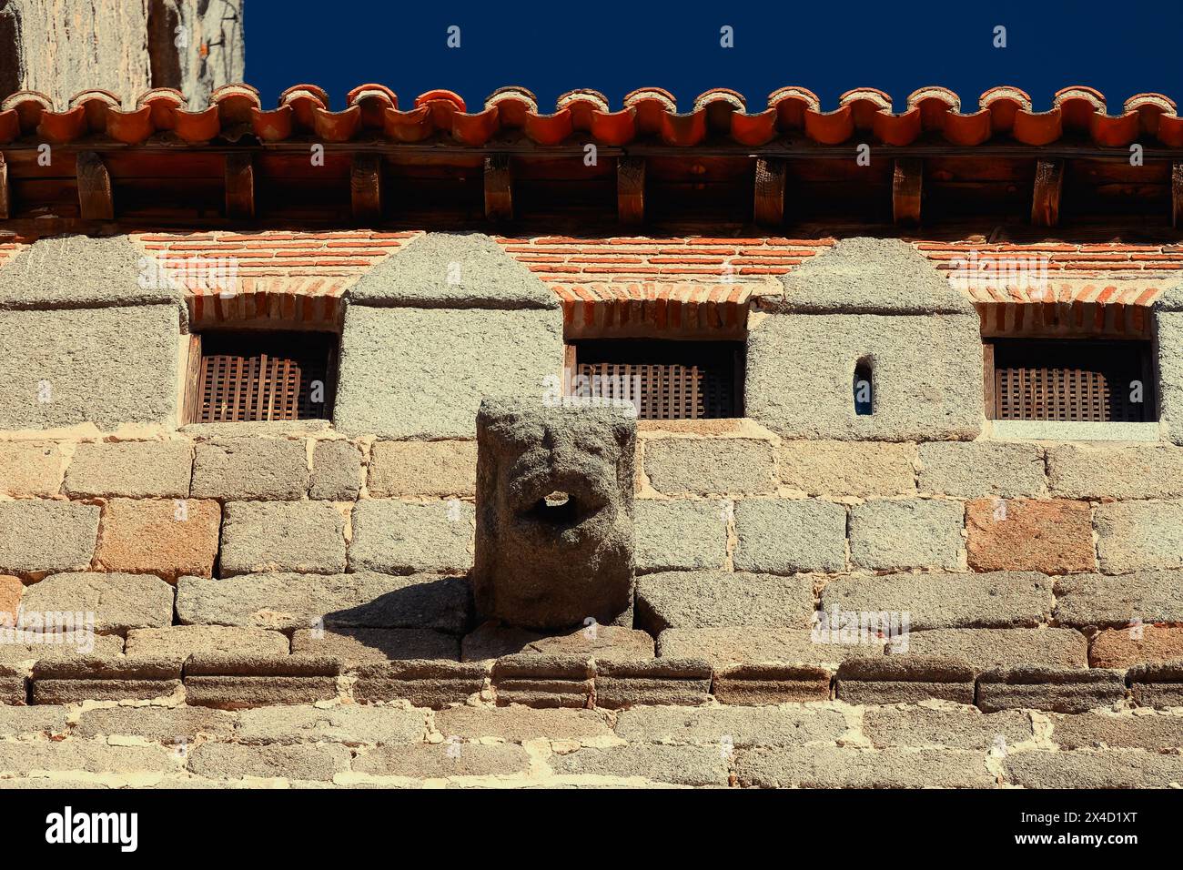 A medieval gargoyle and windows are an architectural feature of the ...