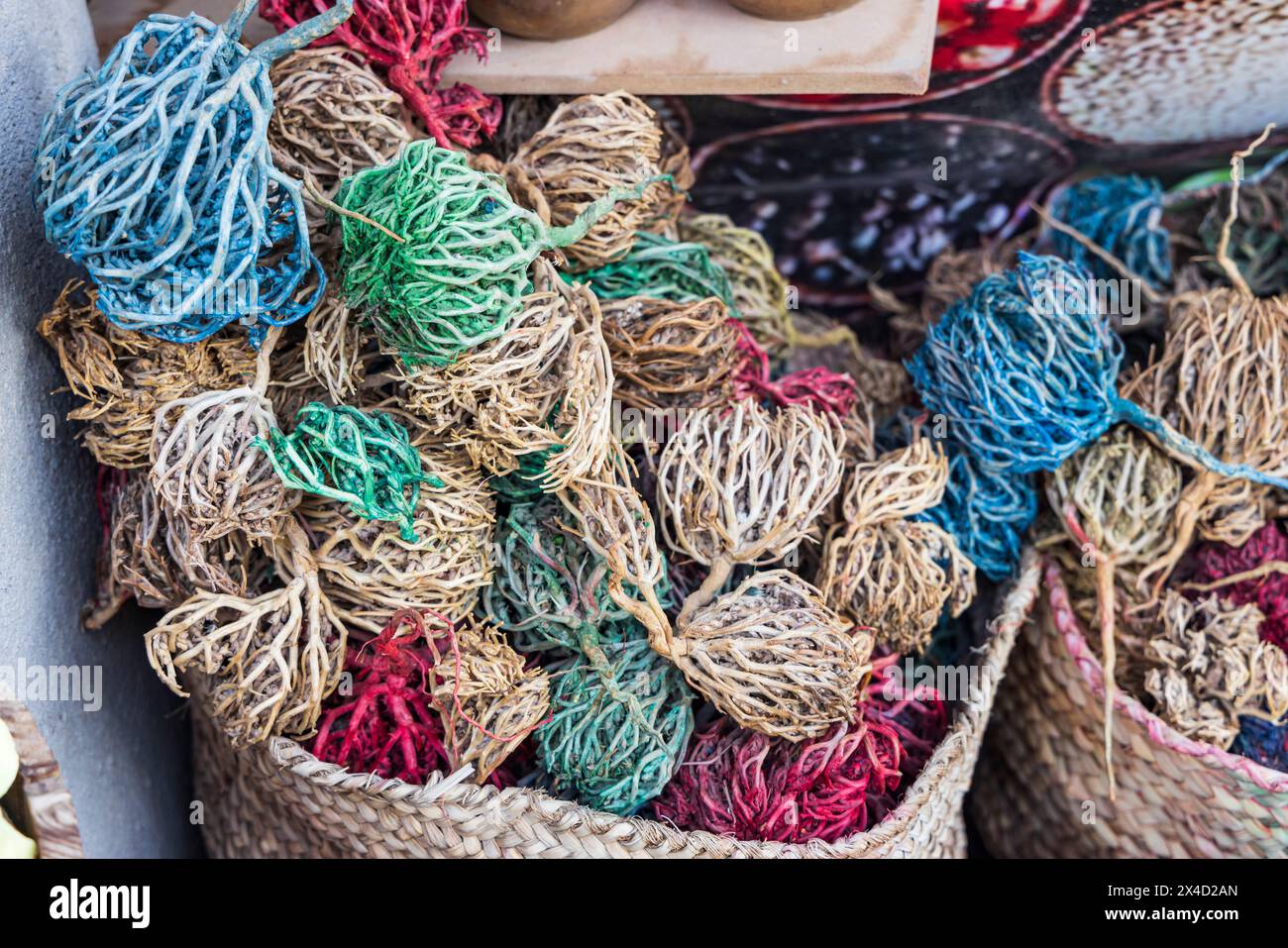 Maryam booti anastatica hi-res stock photography and images - Alamy