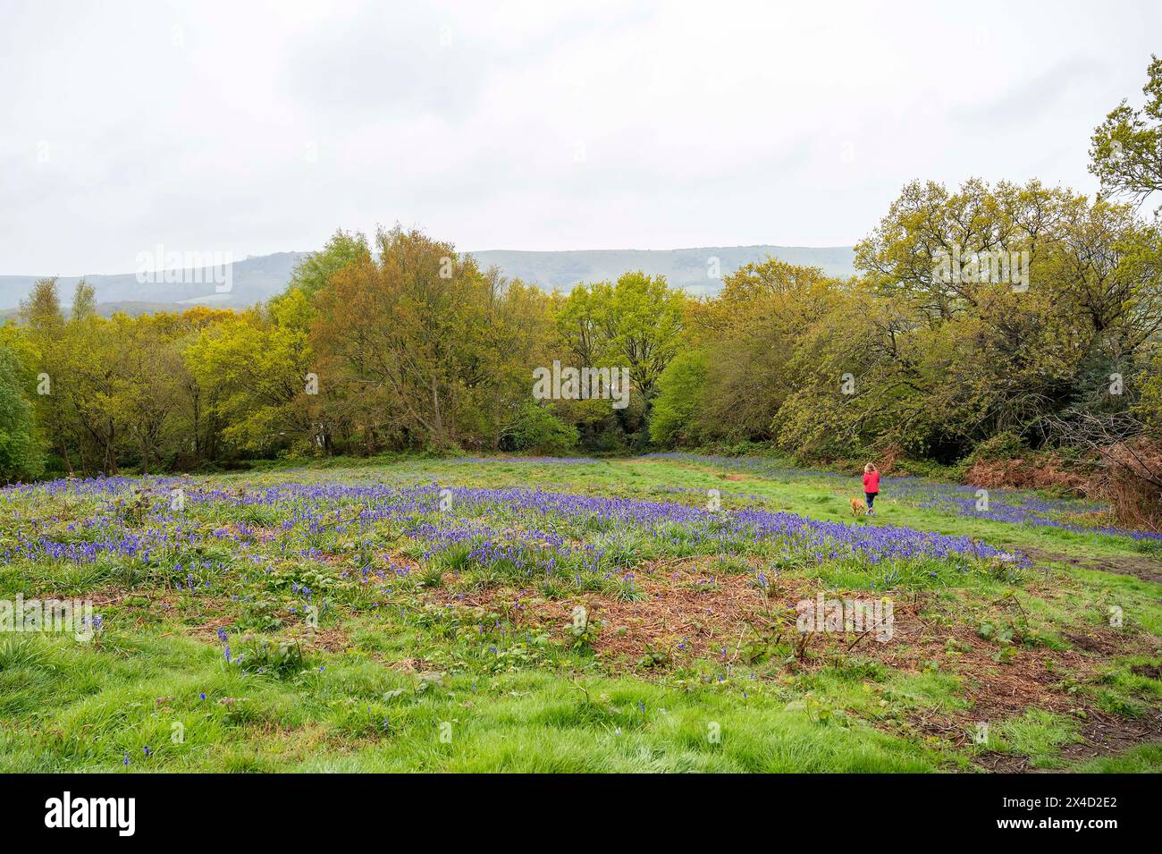 Ditchling Village Sussex UK - View looking towards the South Downs Way ...
