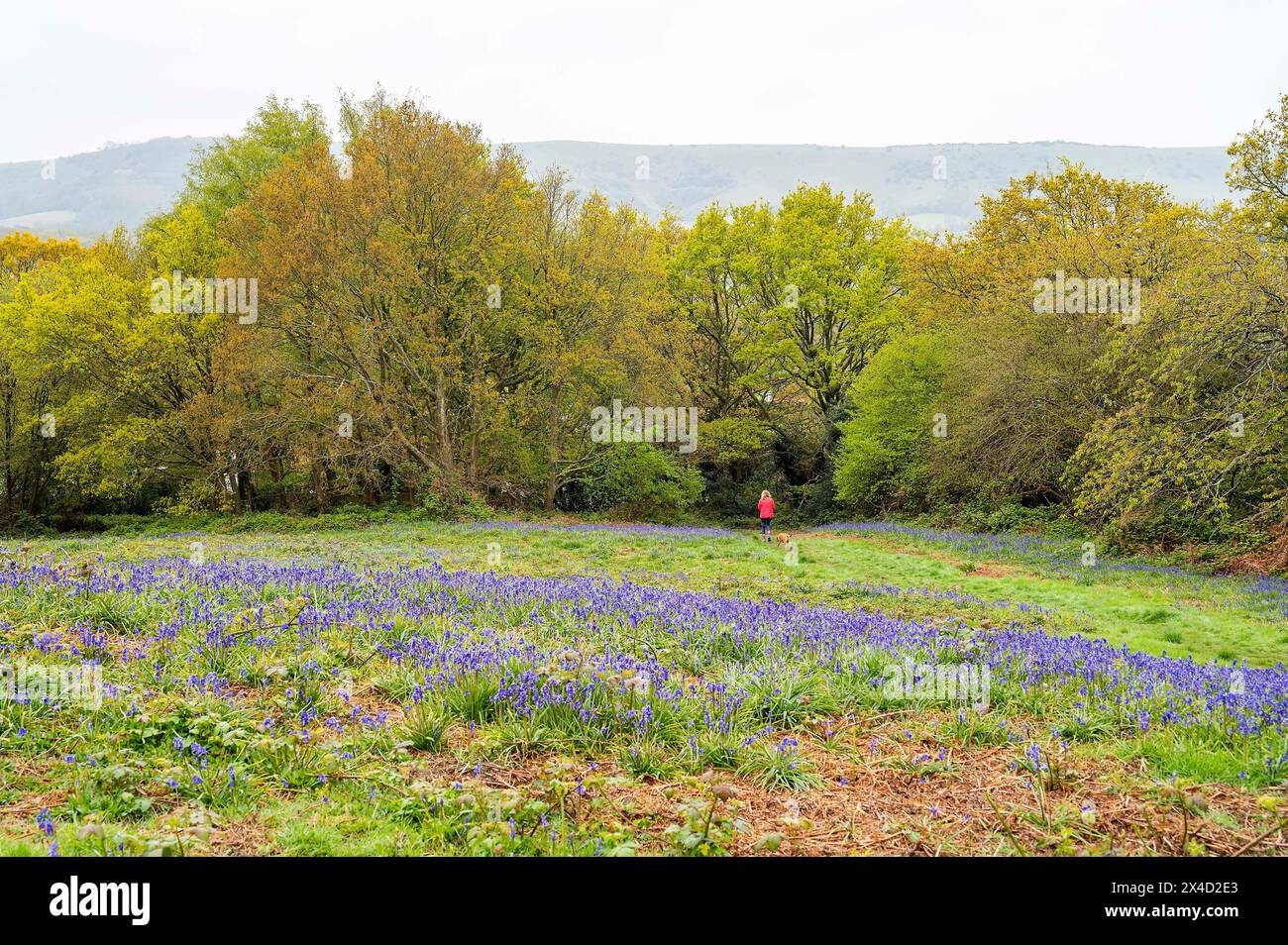 Ditchling Village Sussex UK - View looking towards the South Downs Way ...