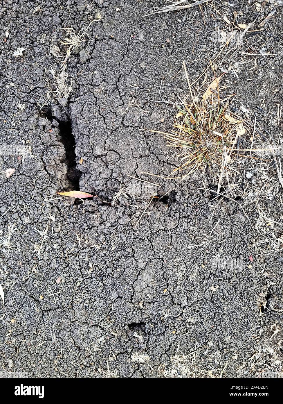 Cracked dried soil, drought and desert, environmental problems, global ...