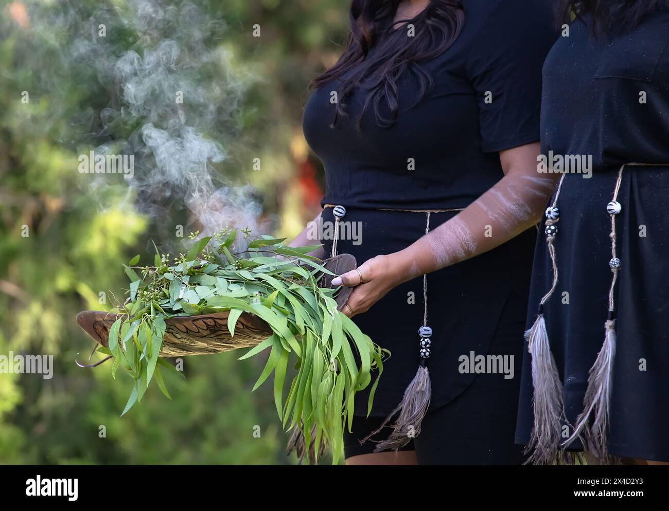 Human hands hold wooden dish with Australian plant branches, the smoke ...