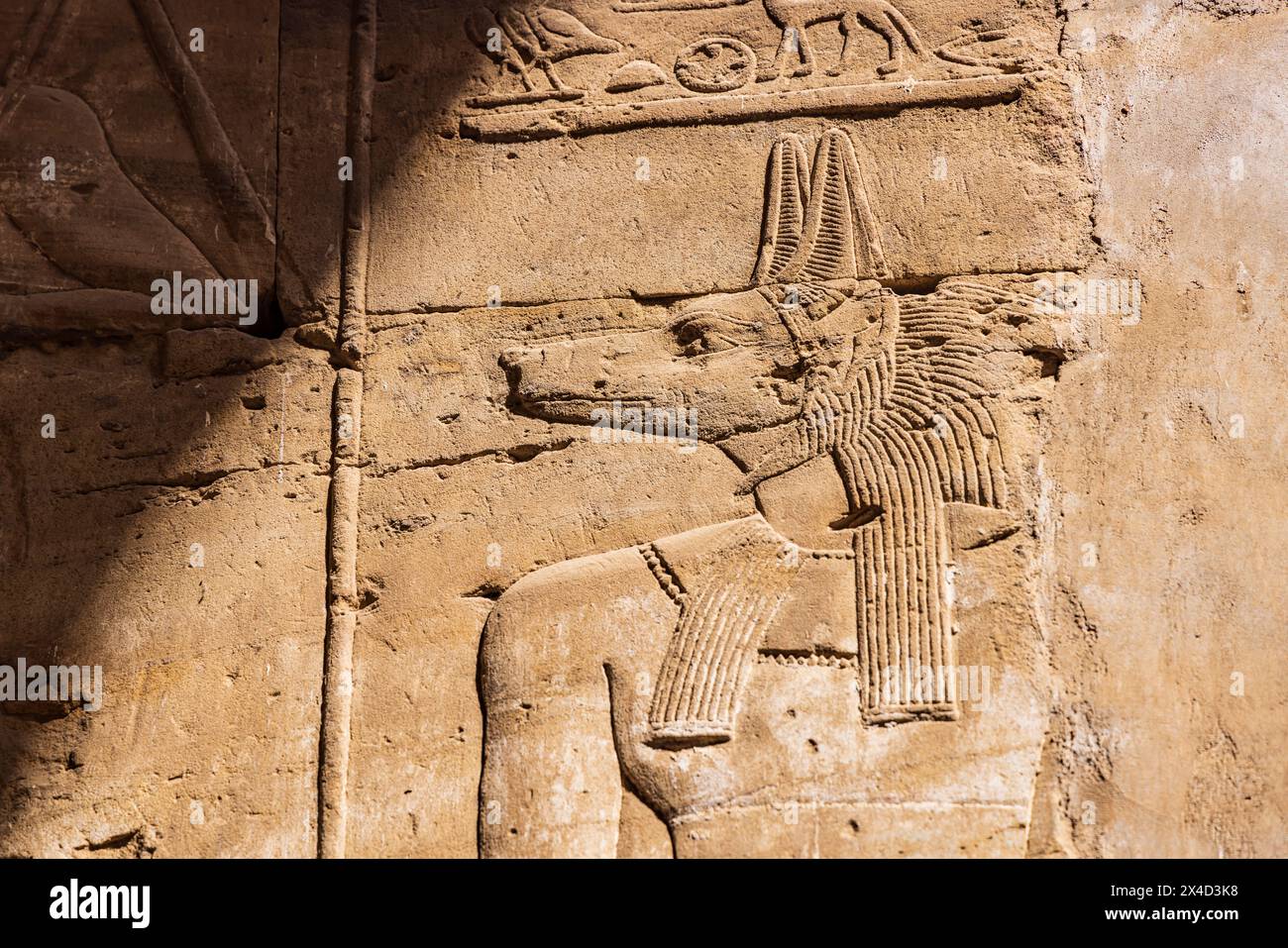 Edfu, Aswan, Egypt. Carving of the god Anubis in the Temple of Horus ...