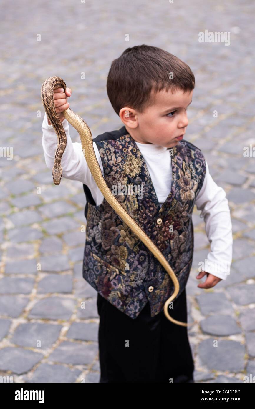 Detail of 'cervone' snakes in the hands of a 'serparo'. Abruzzo's most ...