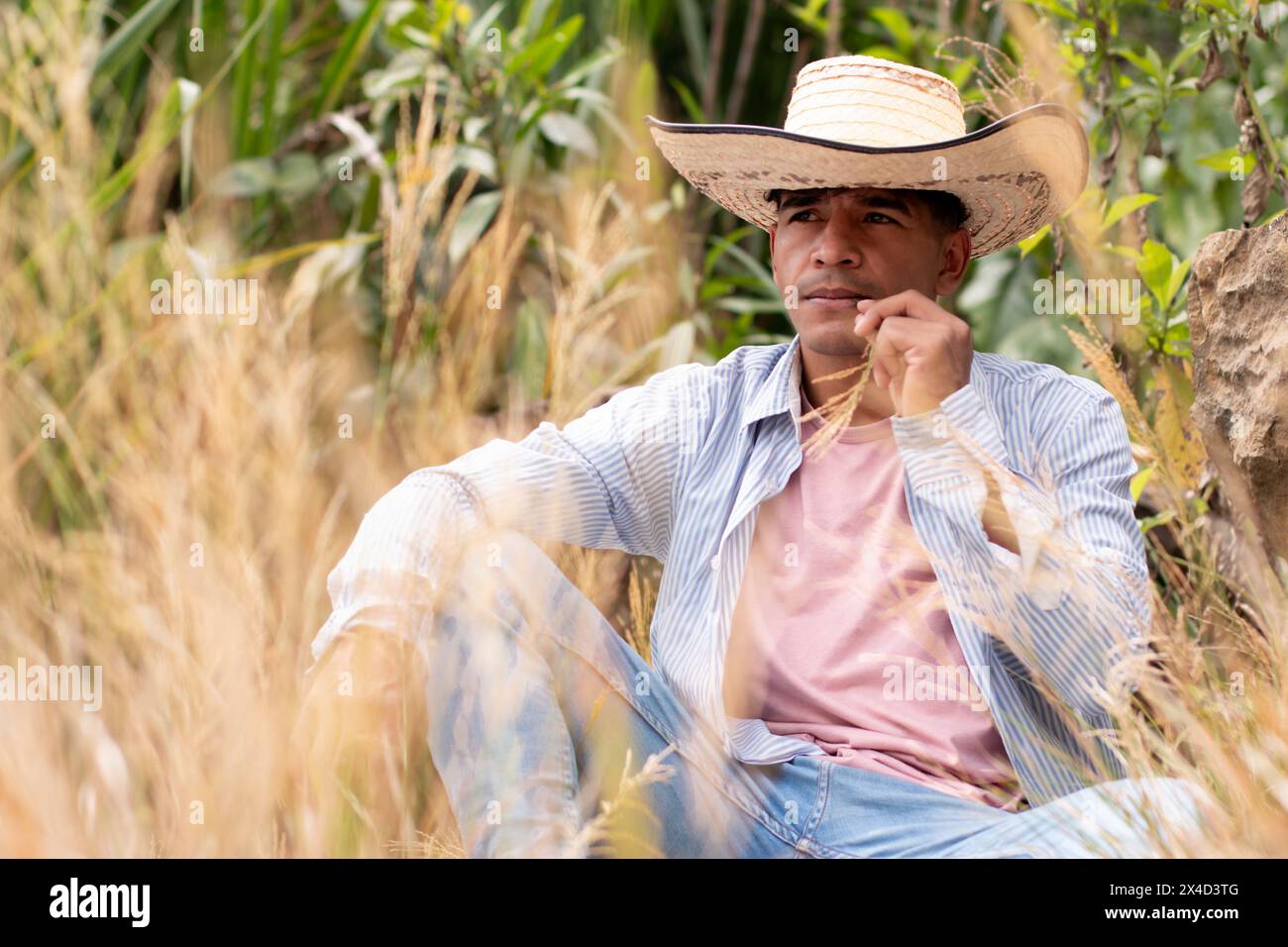Lifestyle: farmer with straw in his mouth is very thoughtful Stock ...