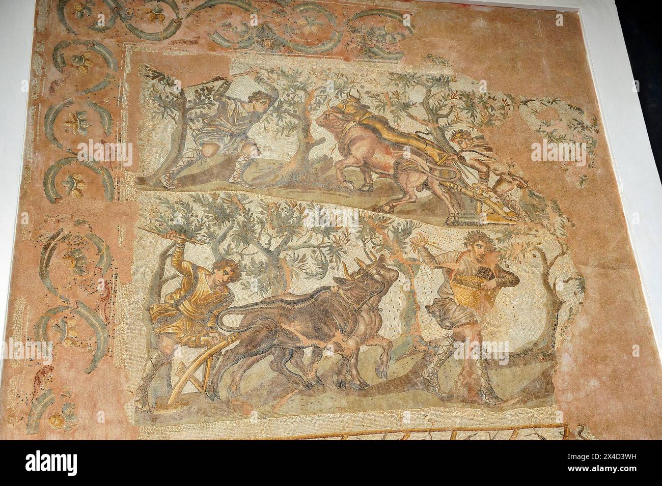 ALGERIA - TOURISM - ART - HISTORY - ARCHEOLOGY. Mosaic from the ...